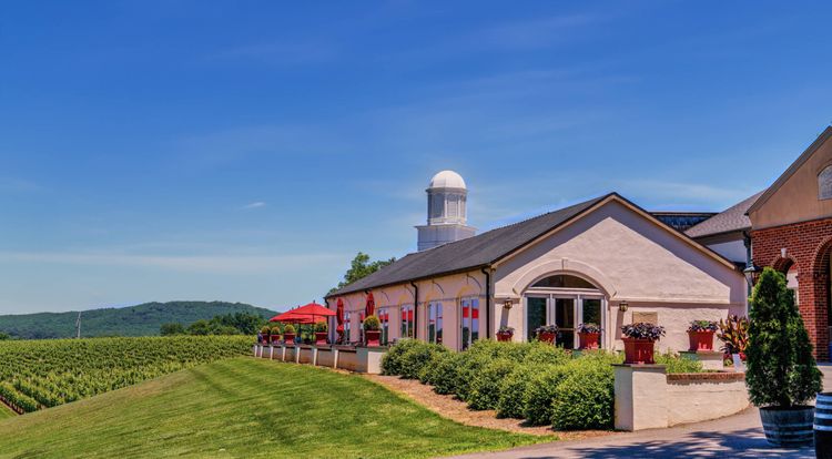 Discover Barboursville - Barboursville Vineyards